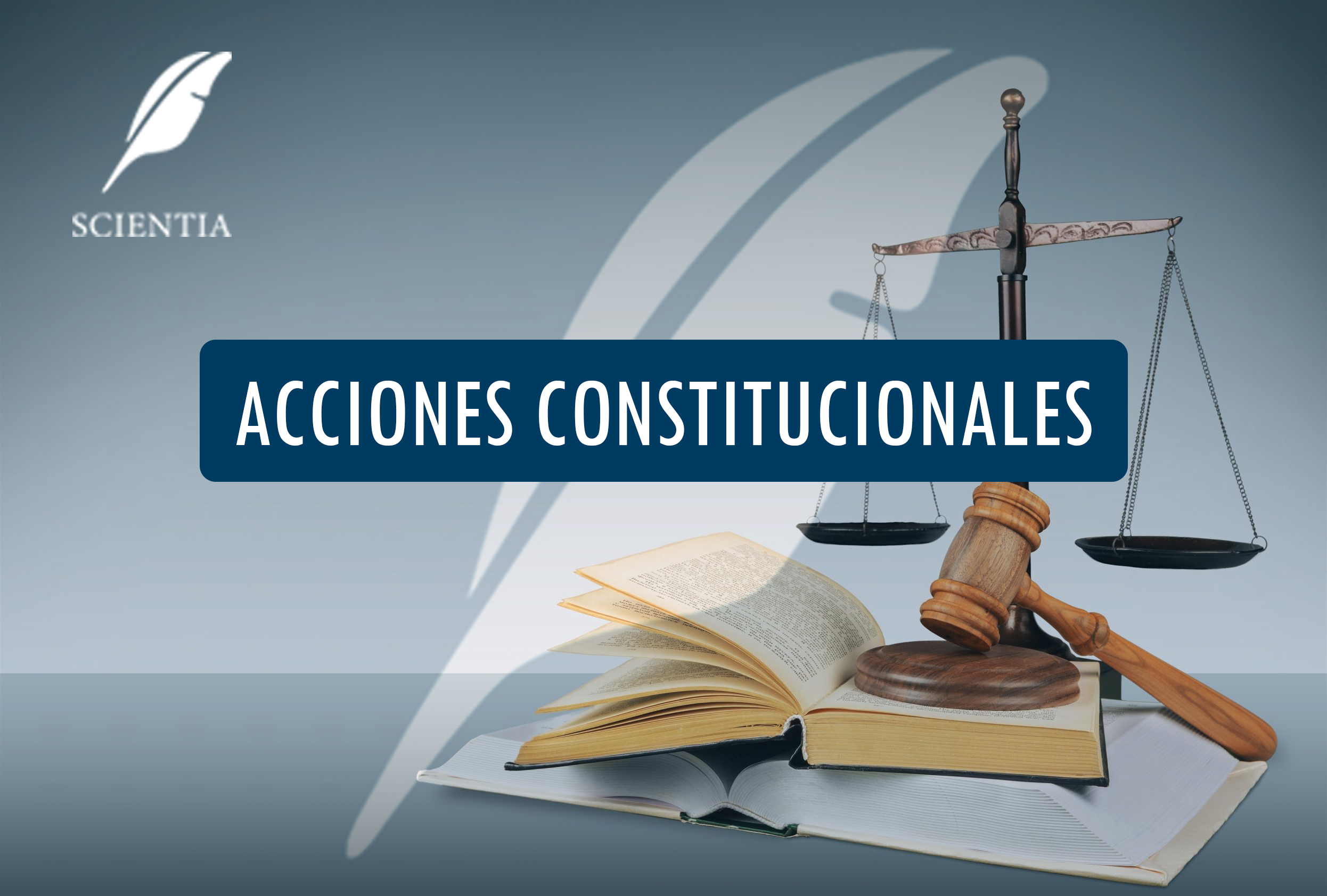 Scientia legal consultores